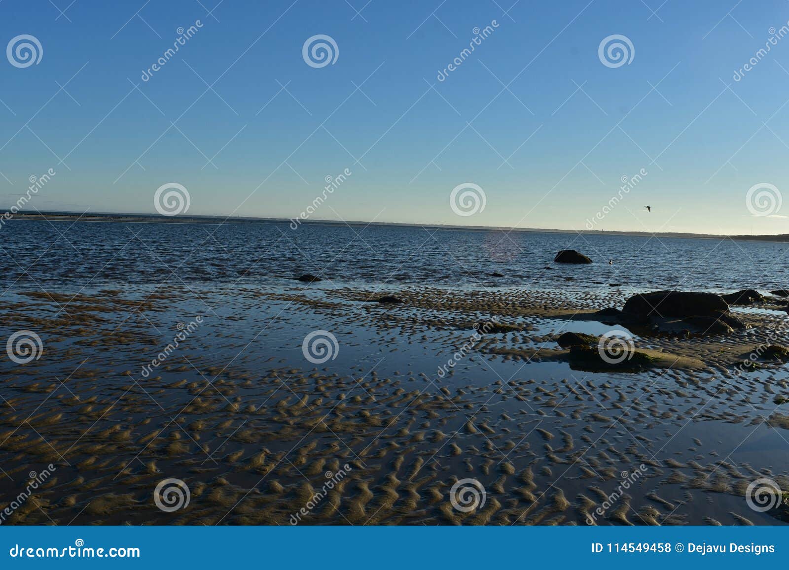 Captivating Sand Ripples on the Shore of Cape Cod Stock Photo - Image ...