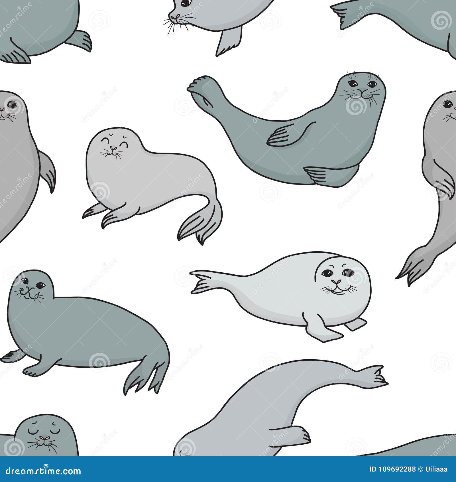 Pretty Seals Isolated On White. Vector Set Of Marine Mammal ...