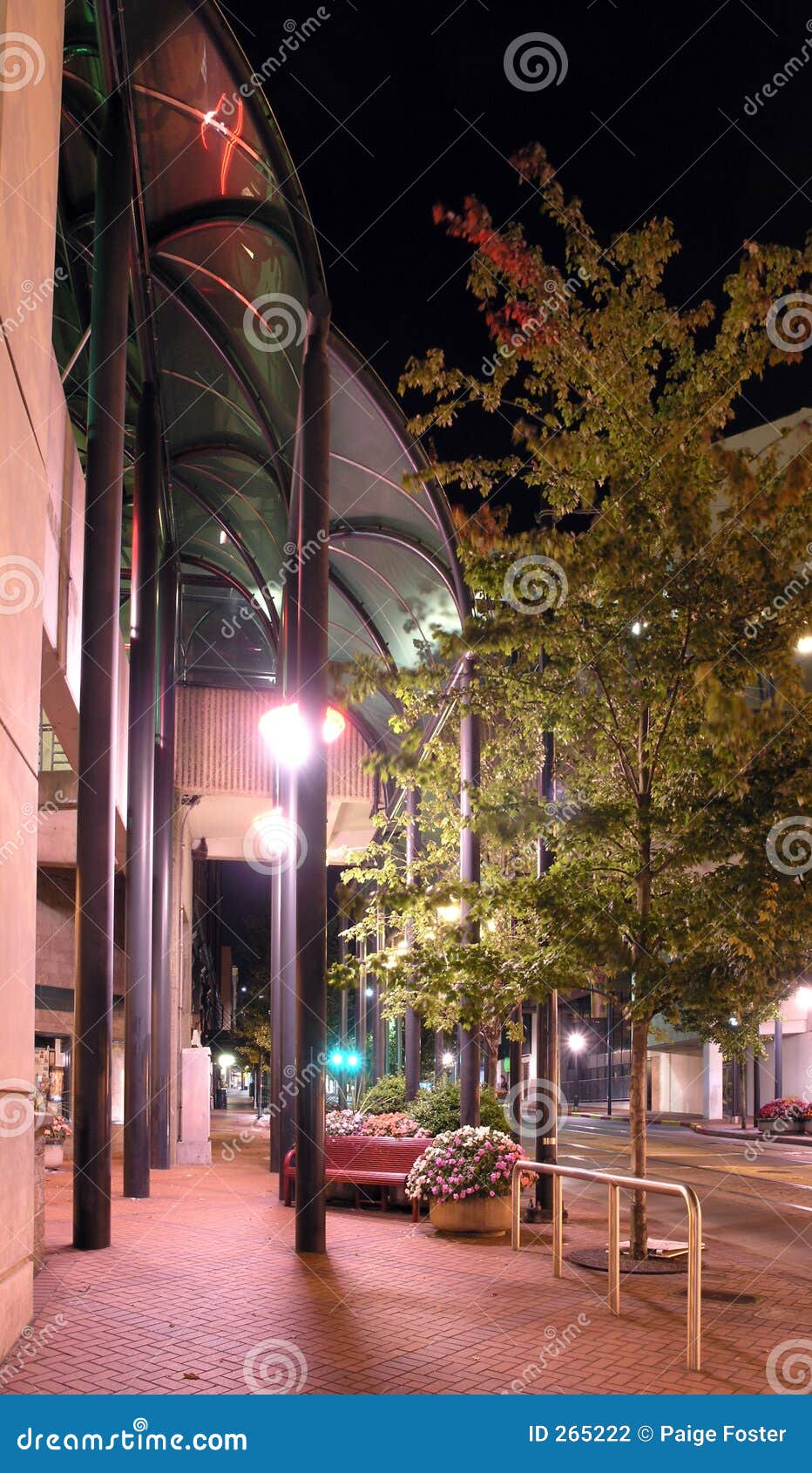 Pretty Sidewalk at Night stock photo. Image of streetlamps - 265222