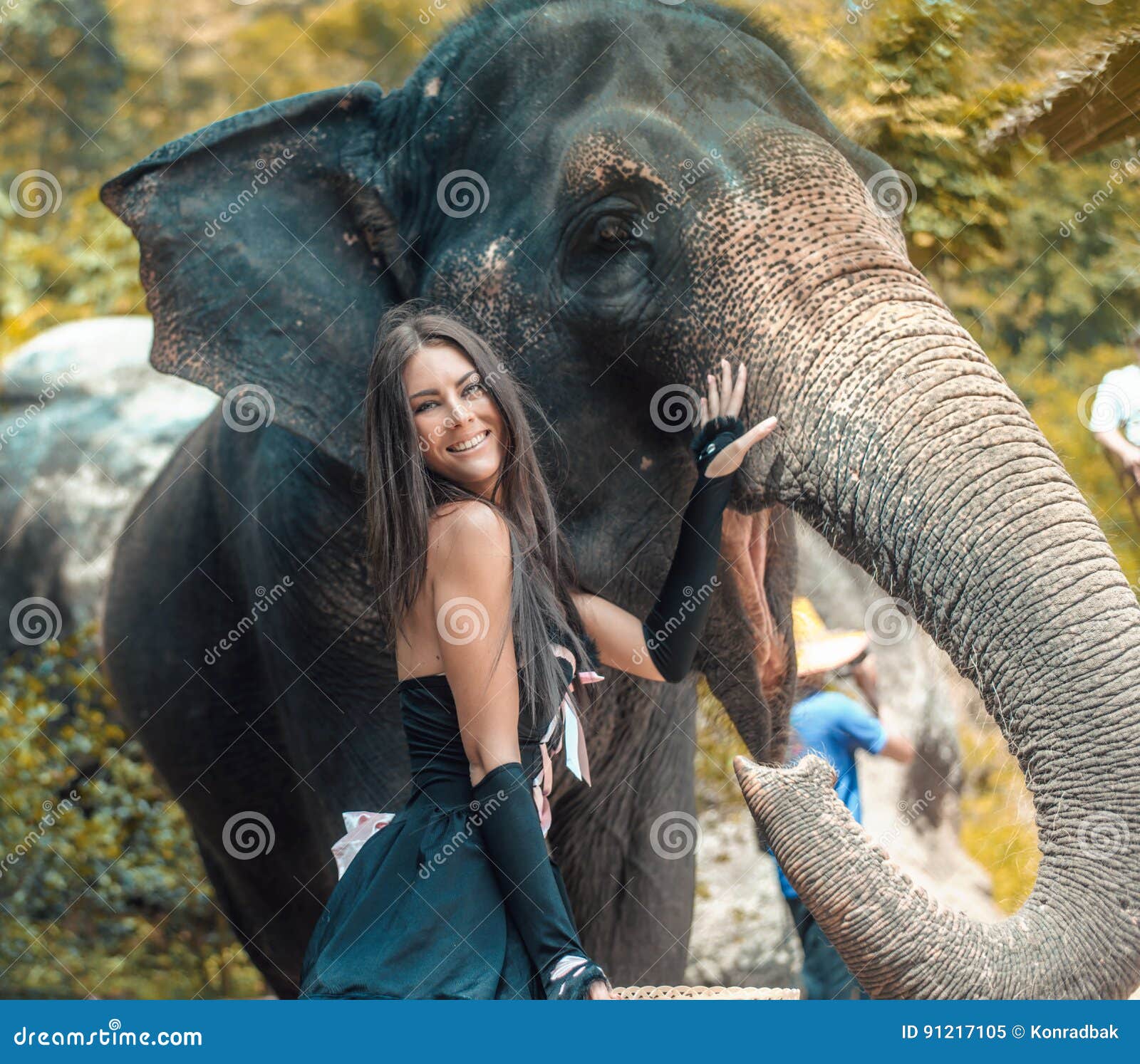 Pretty, Smailing Elephant Trainer with Her Pet Stock Image - Image of ...