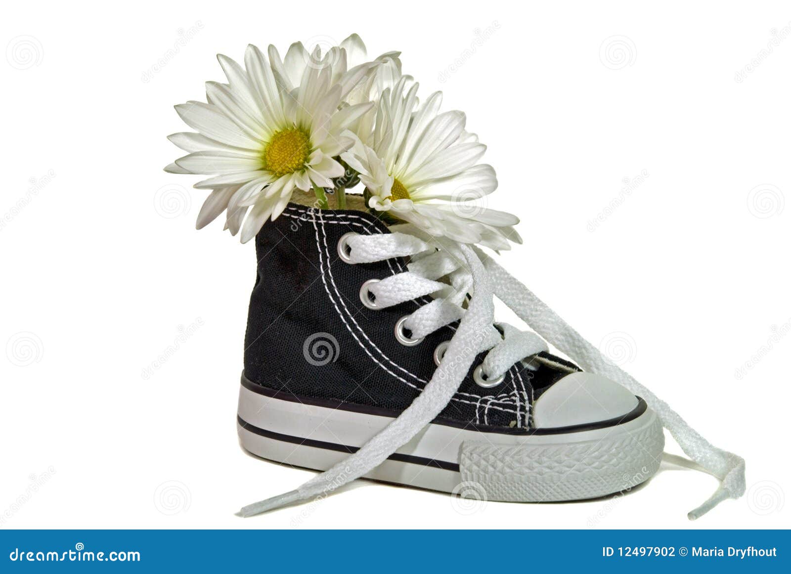 Pretty Sneaky stock photo. Image of trendy, style, fresh - 12497902