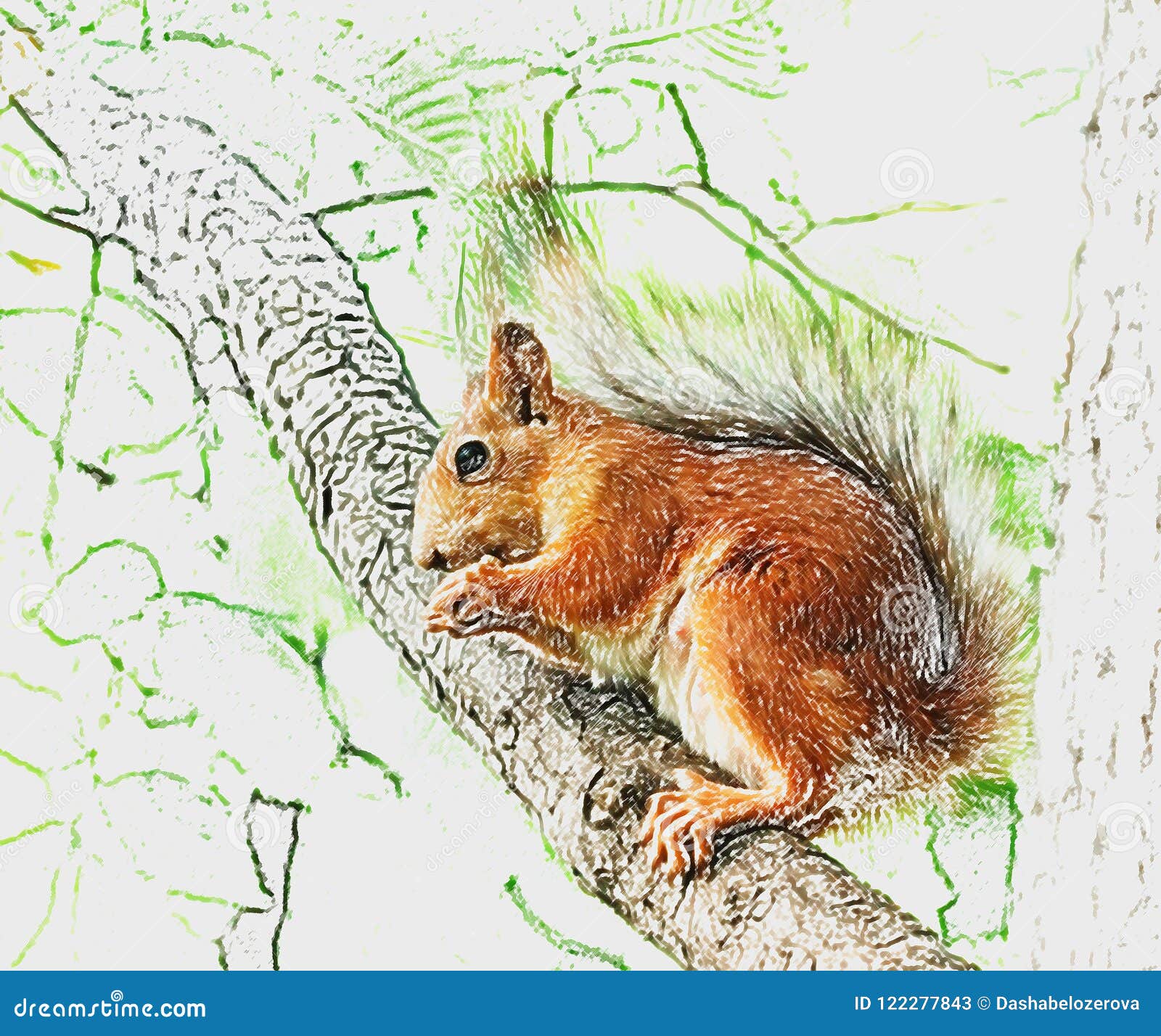 Squirrel on Tree Effect As Picture Stock Illustration - Illustration of ...
