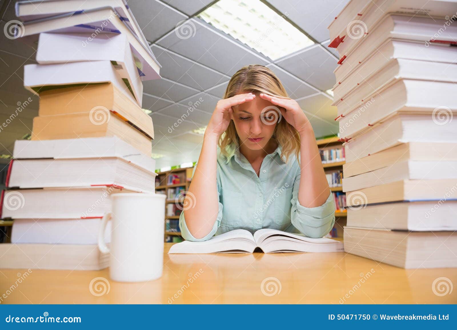 Pretty Student Studying in the Library Stock Photo - Image of sitting ...
