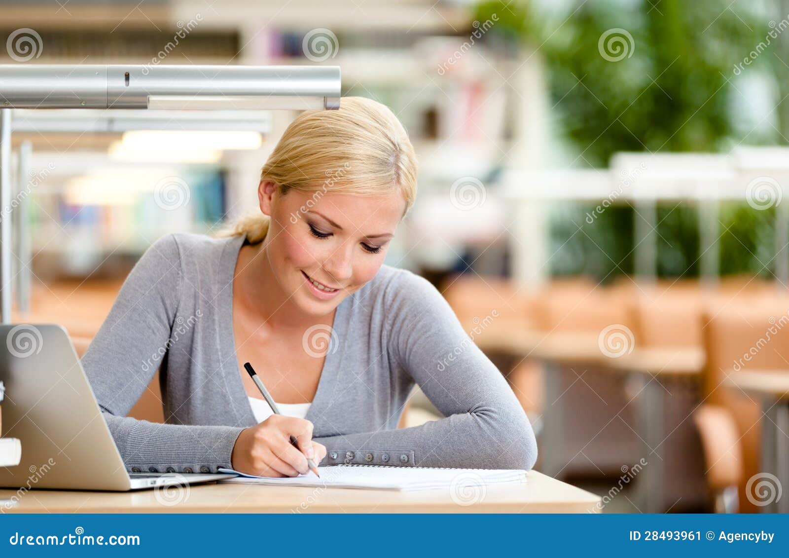 Pretty Student Working at the Desk Stock Image - Image of computer ...