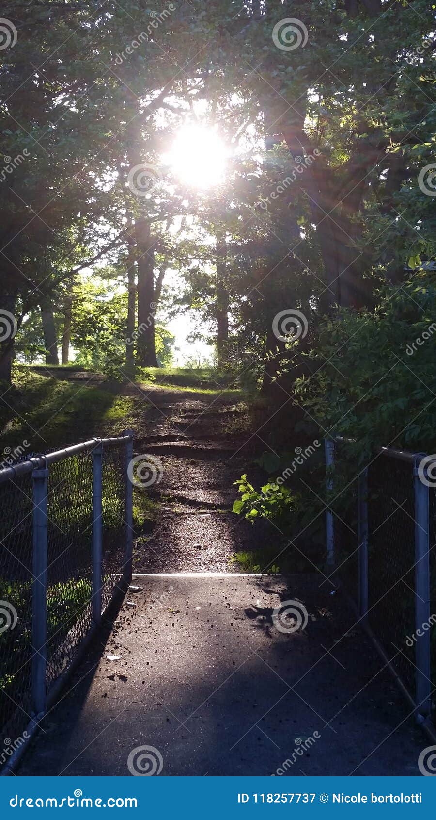 Pretty Sun Outside stock image. Image of park, pretty - 118257737