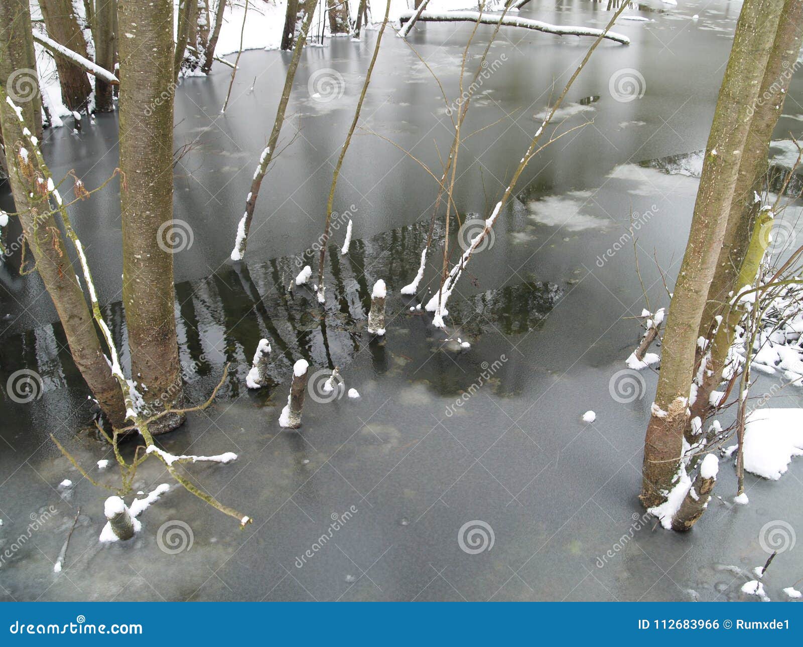 Pretty thin Ice stock photo. Image of hibernation, dissolving - 112683966