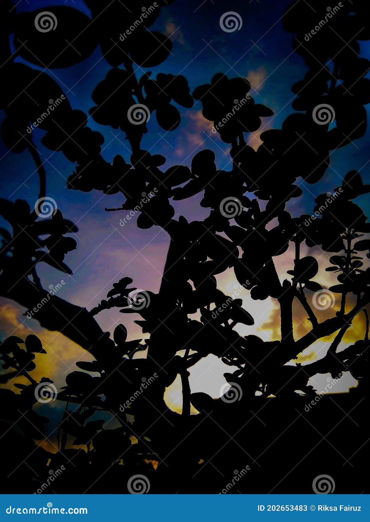 Pretty tree silhouette stock image. Image of screenshot - 202653483