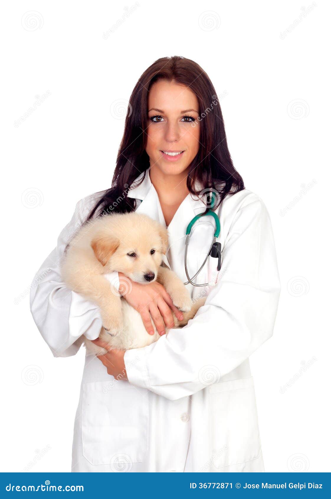 Pretty Vet with a Cute Puppy Stock Image - Image of people, person ...