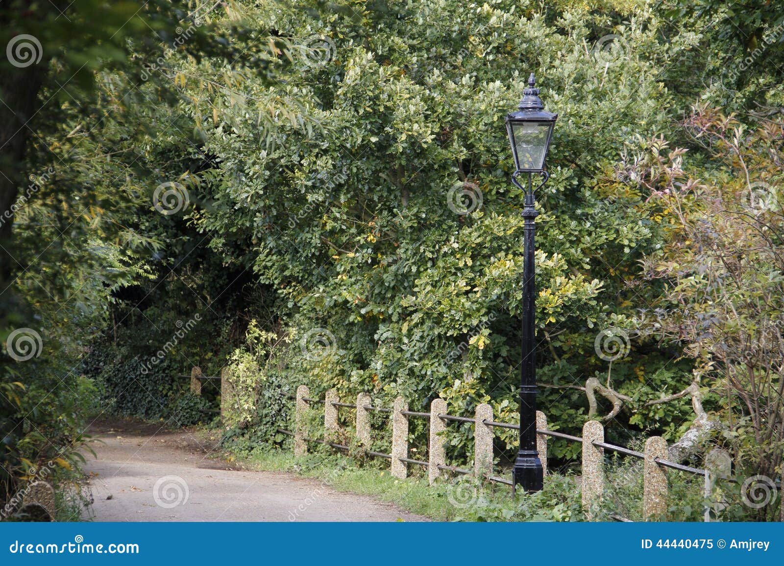Pretty Walk in Hampstead Heath Stock Image - Image of walk, heath: 44440475