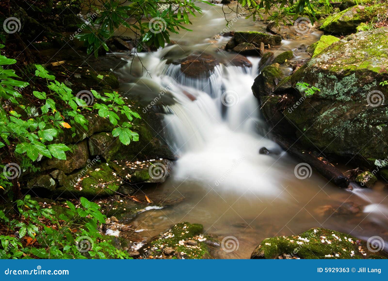 Pretty Waterfall stock image. Image of landscape, environment - 5929363