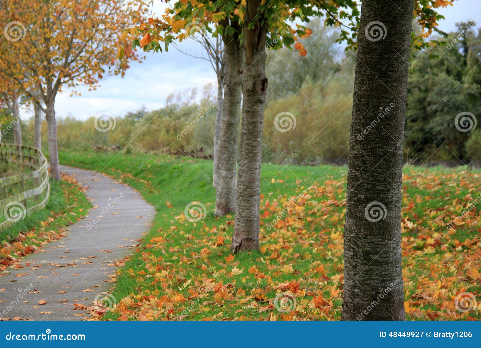 Pretty Winding Walkway with Fall Colors Still on Trees Stock Image ...