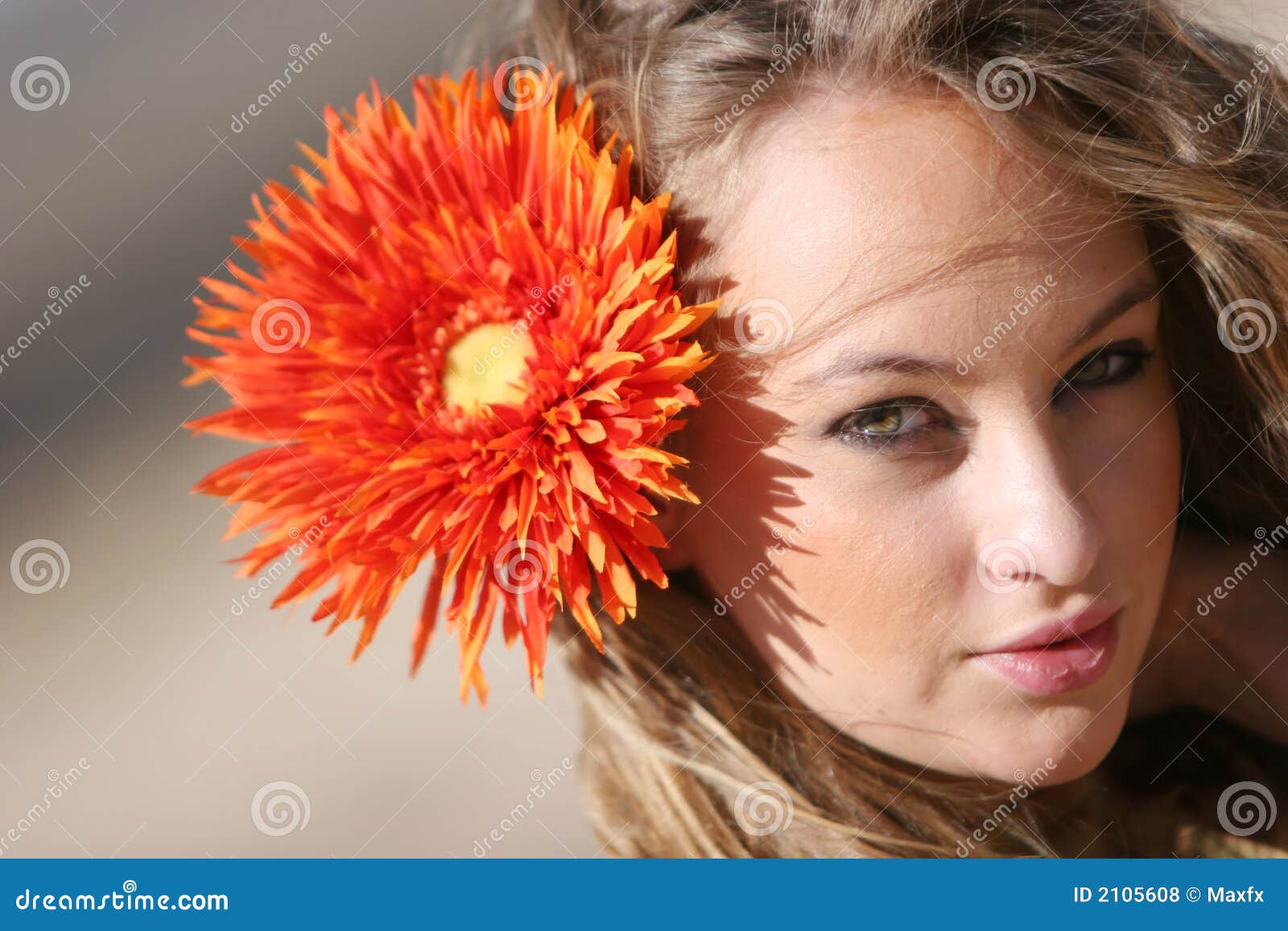 Pretty woman with daisy stock photo. Image of portrait - 2105608