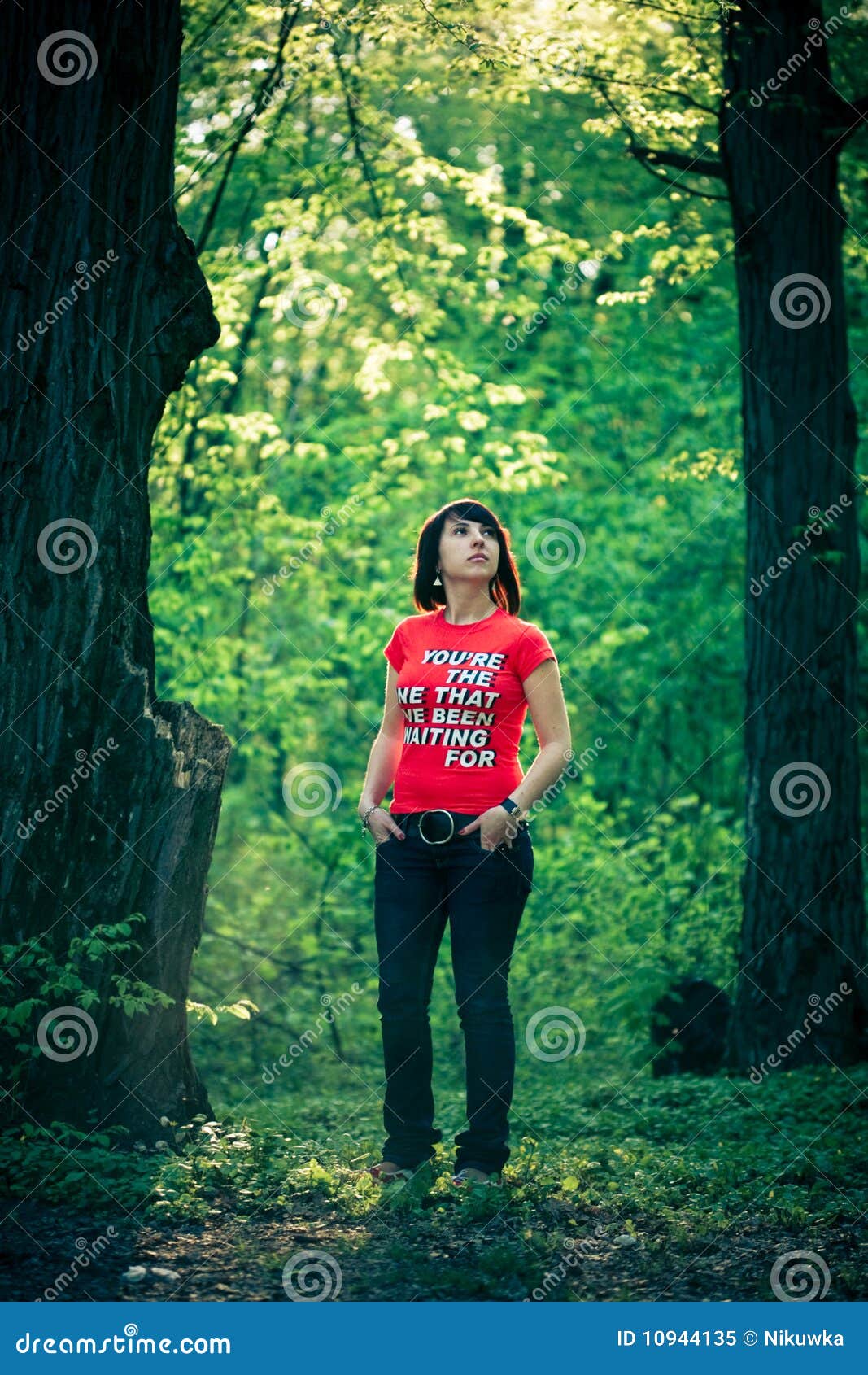 Pretty woman in the forest stock image. Image of portrait - 10944135