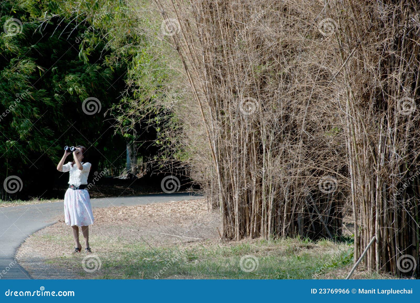 Pretty Woman Out Birding with Binoculars . Stock Photo - Image of ...