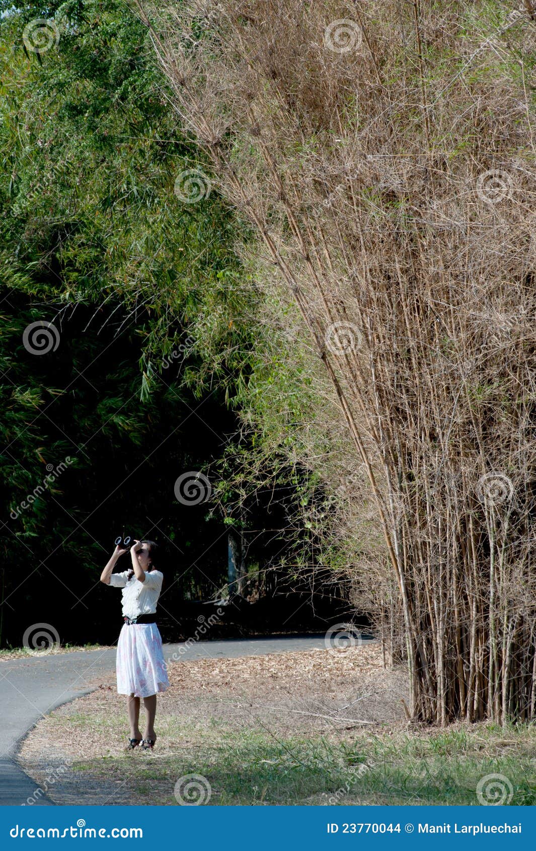 Pretty Woman Out Birding with Binoculars . Stock Photo - Image of ...