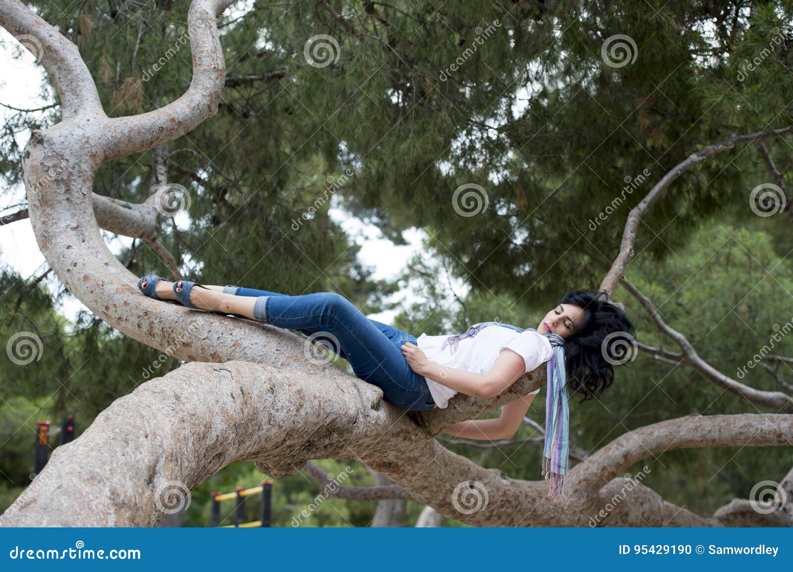 Pretty Woman Sleeping in a Tree after Being Over Worked and Having ...
