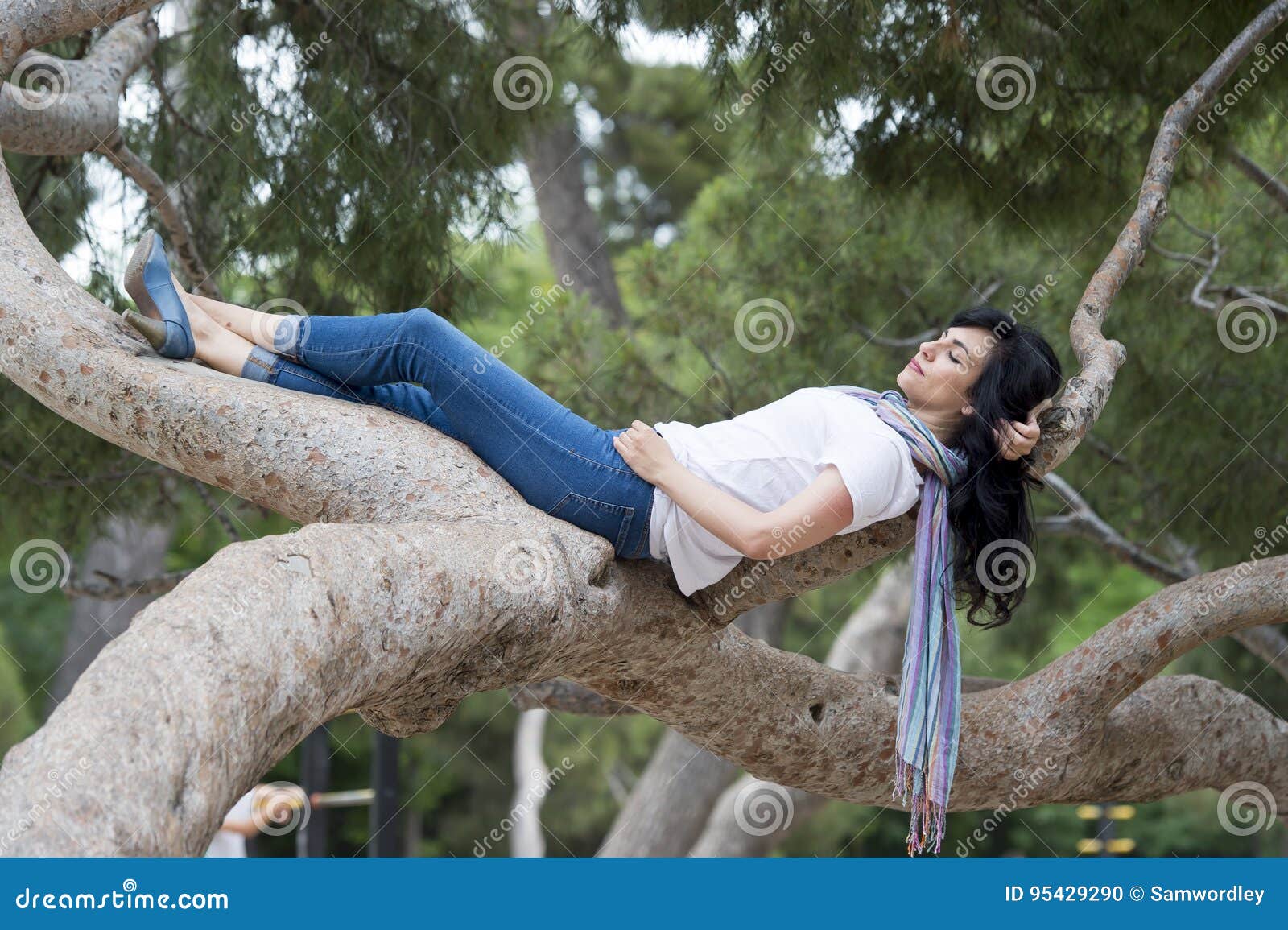 Pretty Woman Sleeping in a Tree after Being Over Worked and Having ...