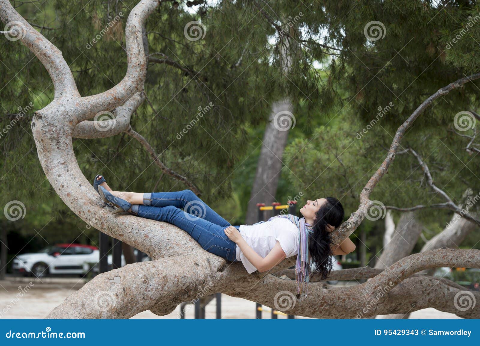 Pretty Woman Sleeping in a Tree after Being Over Worked and Having ...