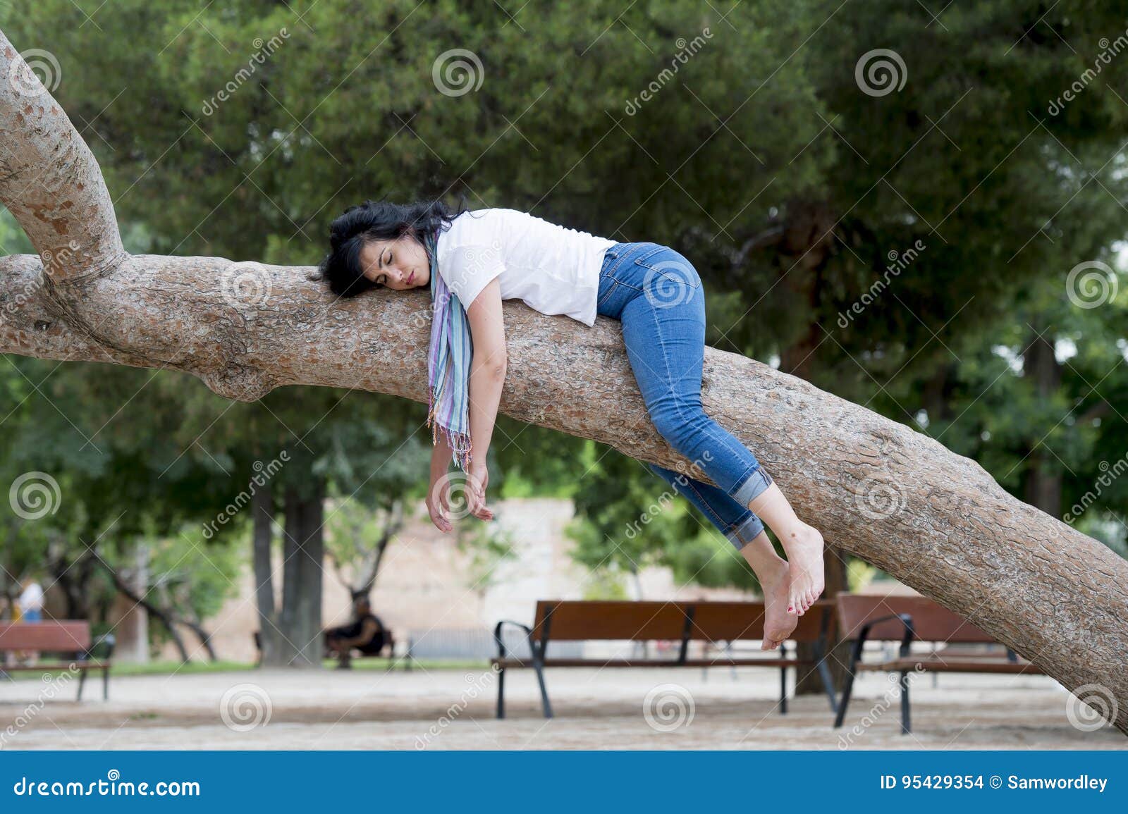 Pretty Woman Sleeping in a Tree after Being Over Worked and Having ...