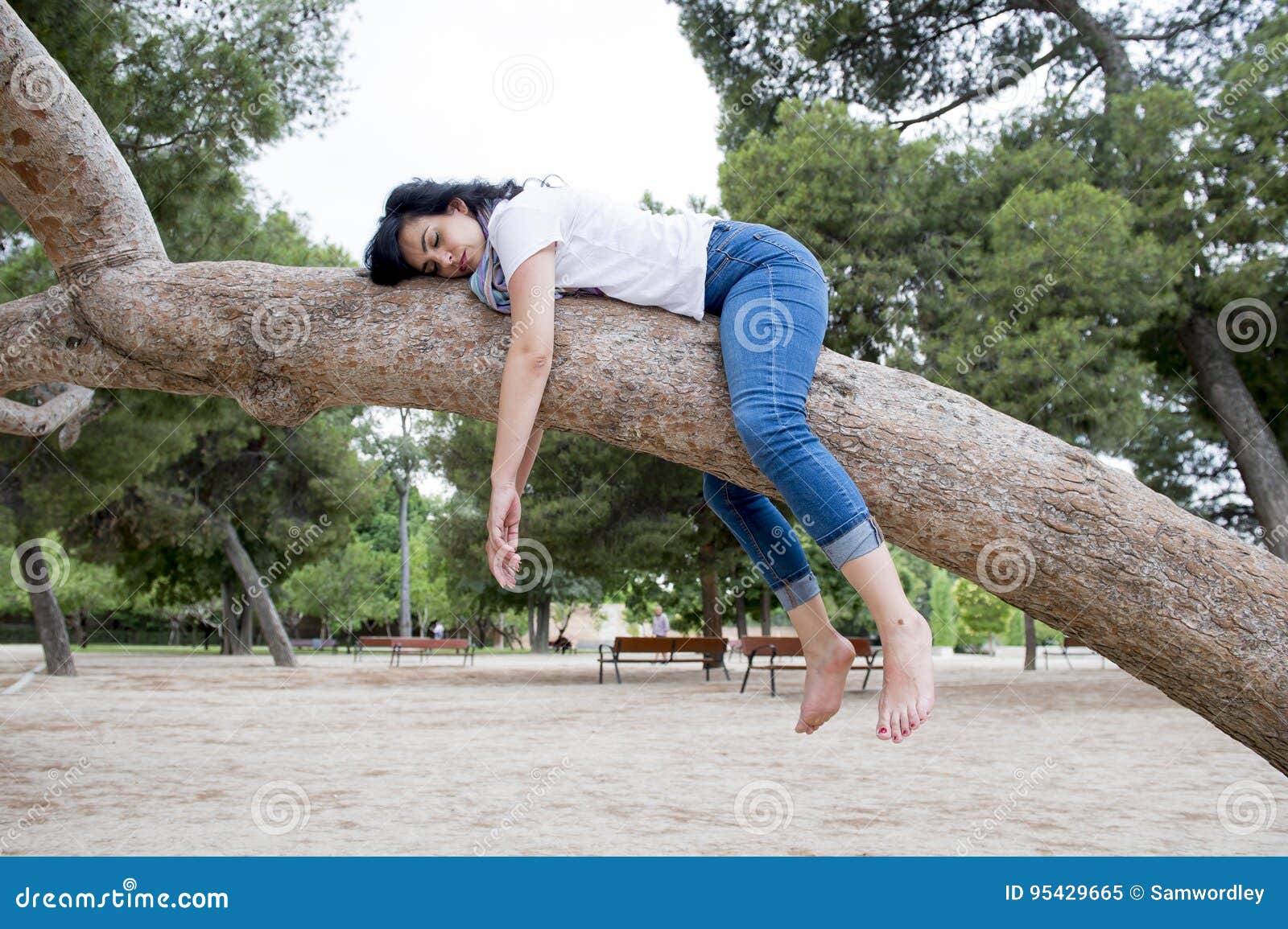 Pretty Woman Sleeping in a Tree after Being Over Worked and Having ...