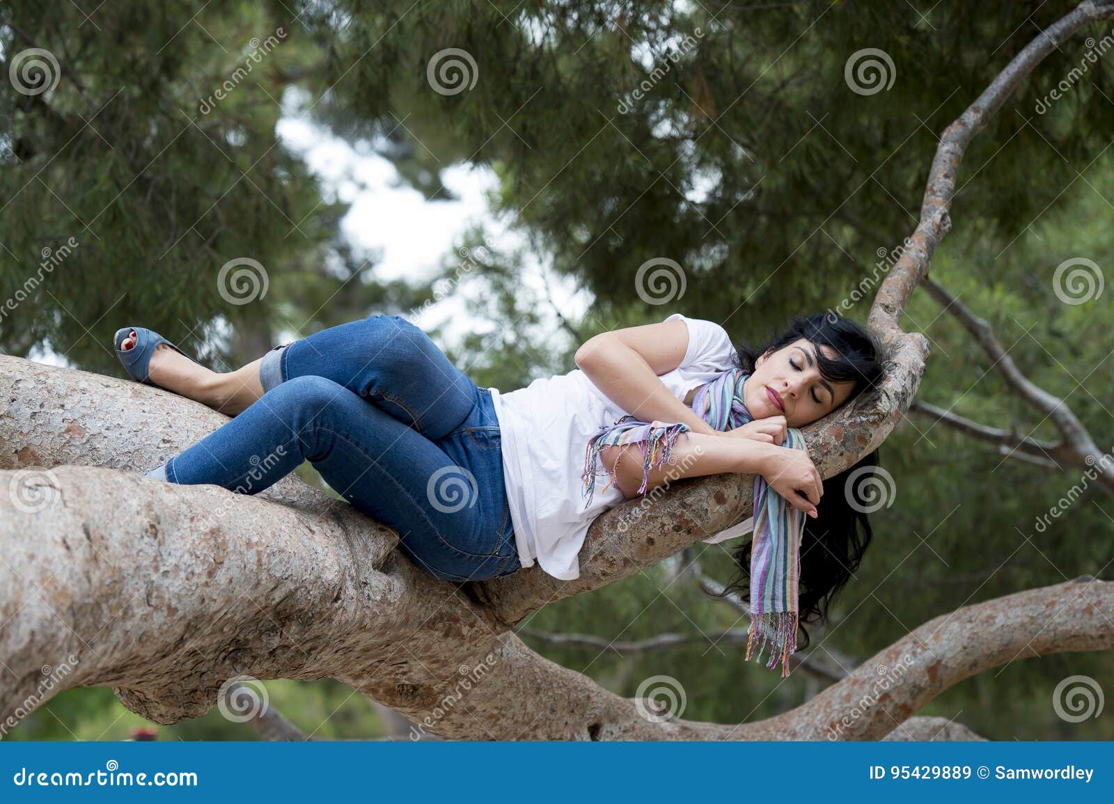 Pretty Woman Sleeping in a Tree after Being Over Worked and Having ...