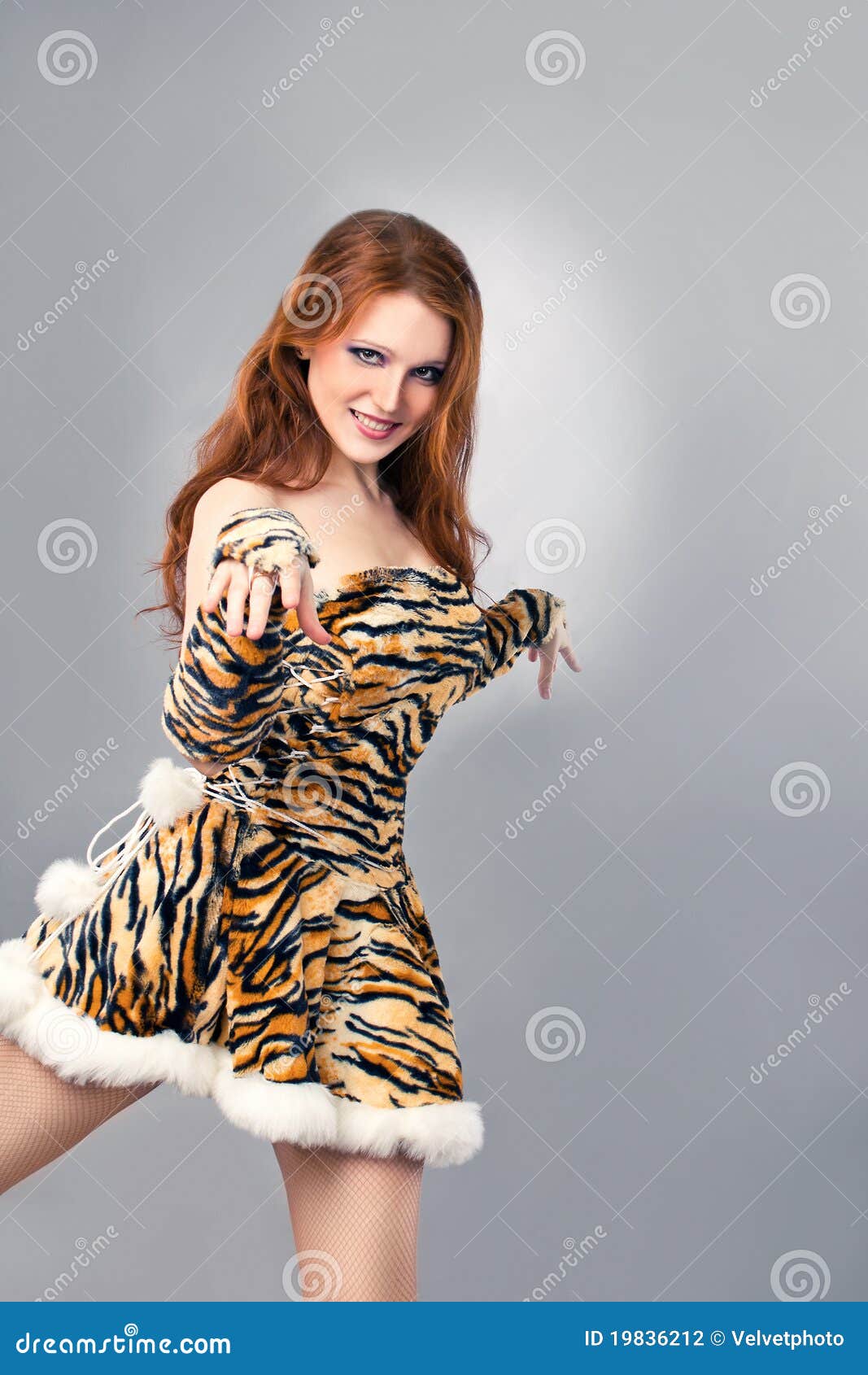 Pretty Woman in Tiger Costume Stock Photo - Image of white, domestic ...