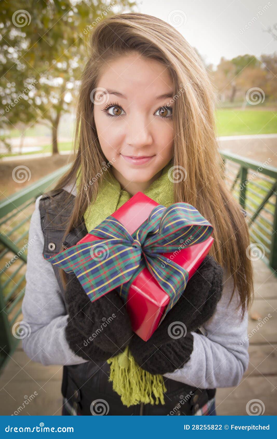 Pretty Woman with Wrapped Gift with Bow Outside Stock Photo - Image of ...