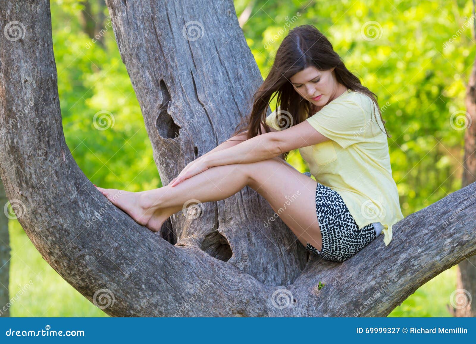 Pretty Young Girl Climbing Tree Stock Image Image Of Playing Cute