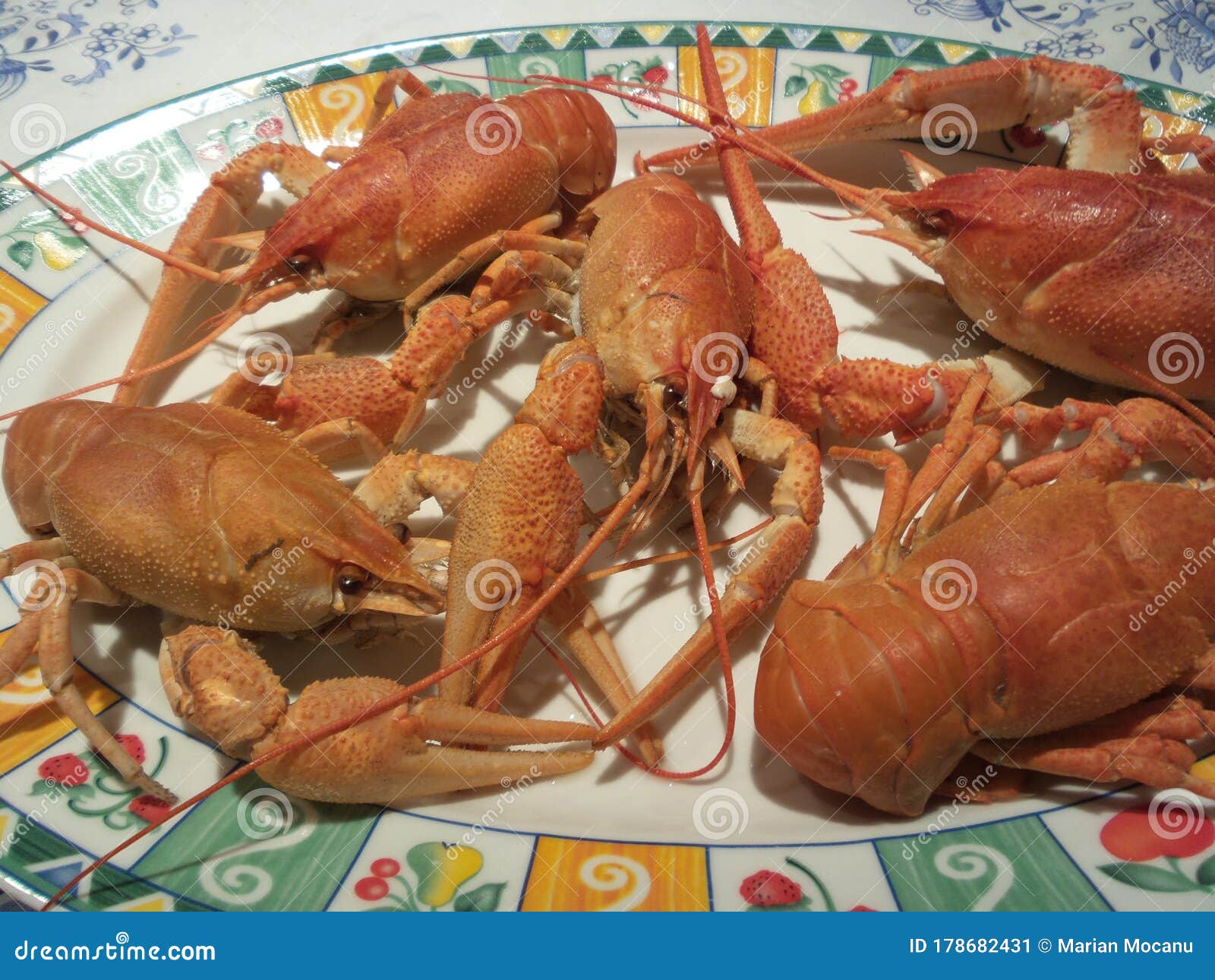 Boiled Crabs Dish Ready To Eat Stock Image - Image of preview, details ...