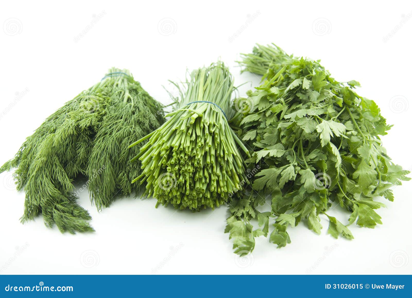 Prezzemolo Con La Erba Cipollina E L'aneto Immagine Stock - Immagine di ...