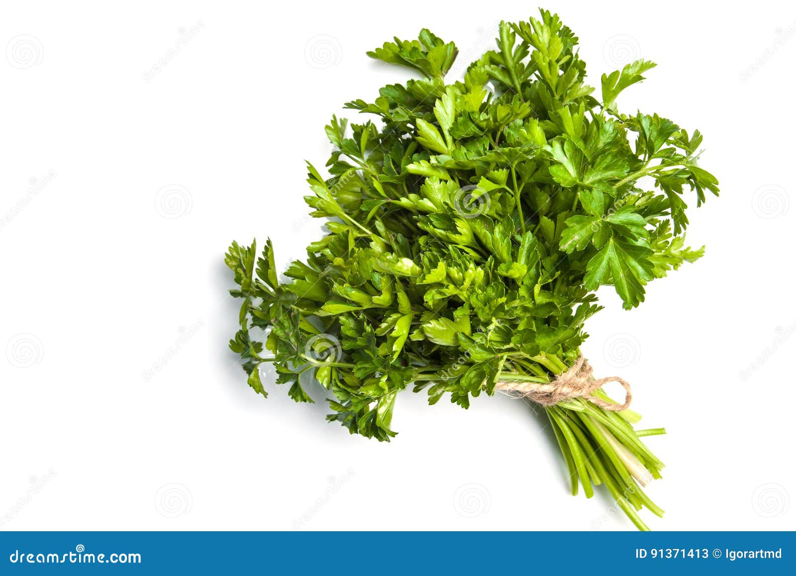 Prezzemolo fresco isolato immagine stock. Immagine di vegetariano ...