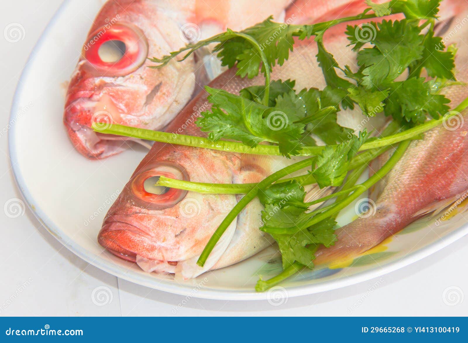 Priacanthus tayenus stock photo. Image of animal, seafood - 29665268