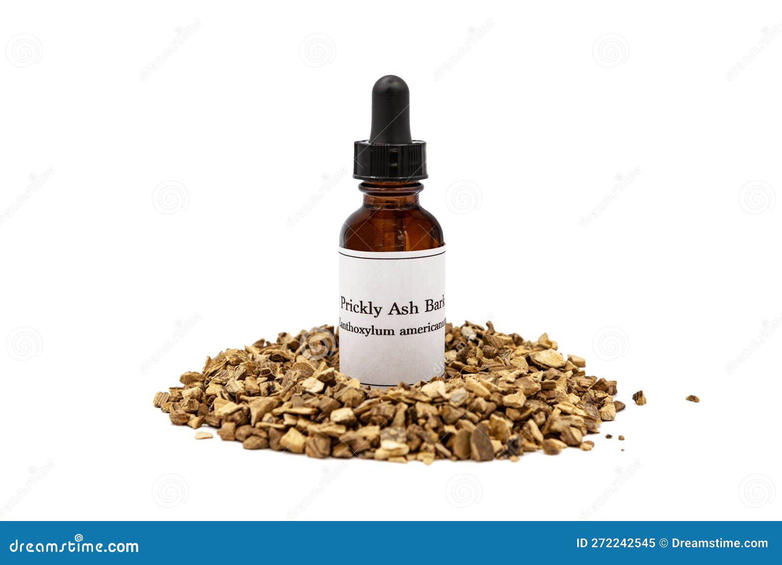 Prickly Ash Bark Tincture and Dried Herb Stock Image - Image of ...