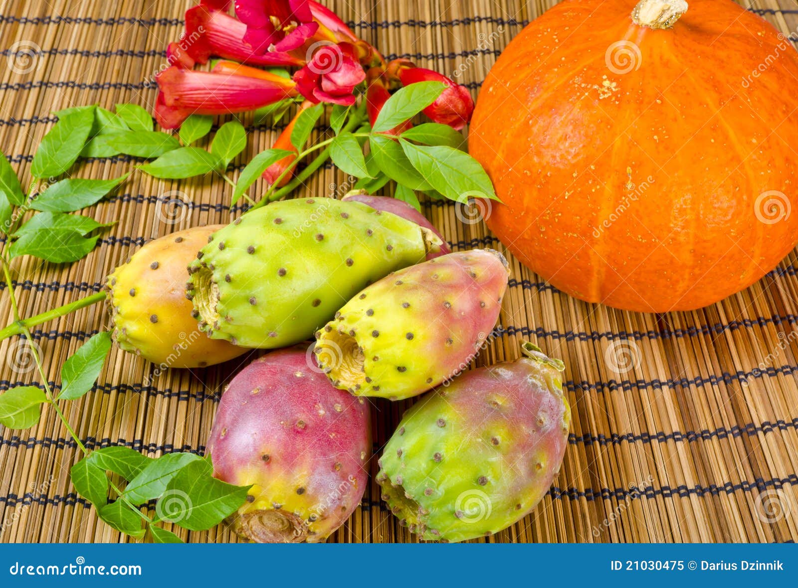 Prickly pear stock image. Image of figs, green, cooked - 21030475