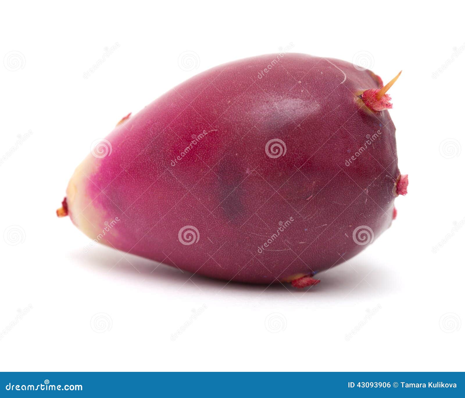 Prickly Pear Fruit Isolated on White Stock Photo - Image of color, food ...
