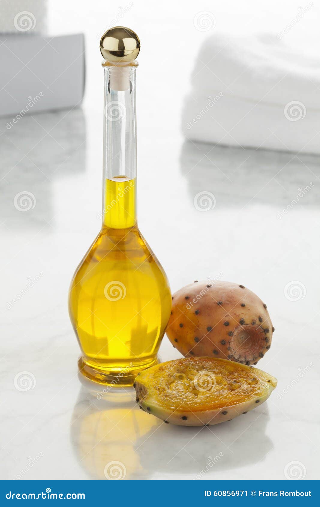 388 Prickly Pear Seed Cactus Stock Photos - Free & Royalty-Free Stock ...