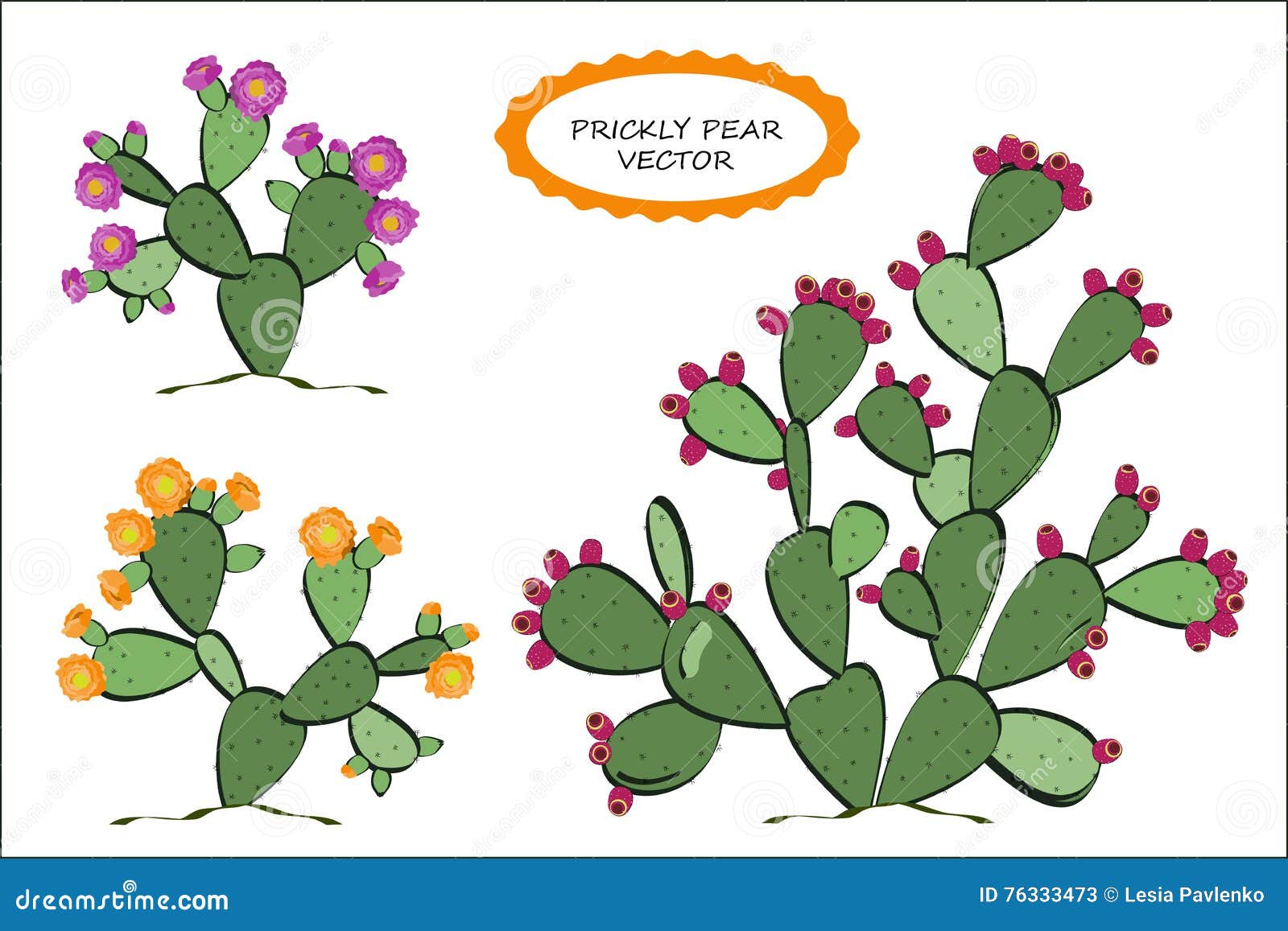 Prickly Pear Vector. Prickly Pear Cactus with Fruits, and Flowers. Pink ...