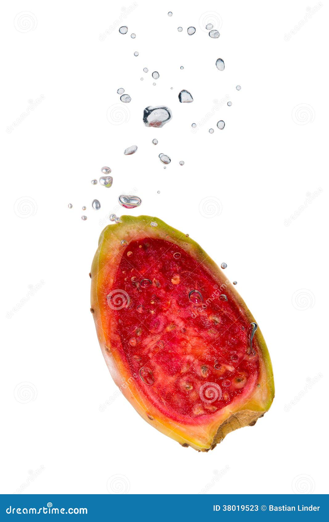 Prickly Pear in Water with Air Bubbles Stock Image - Image of water ...