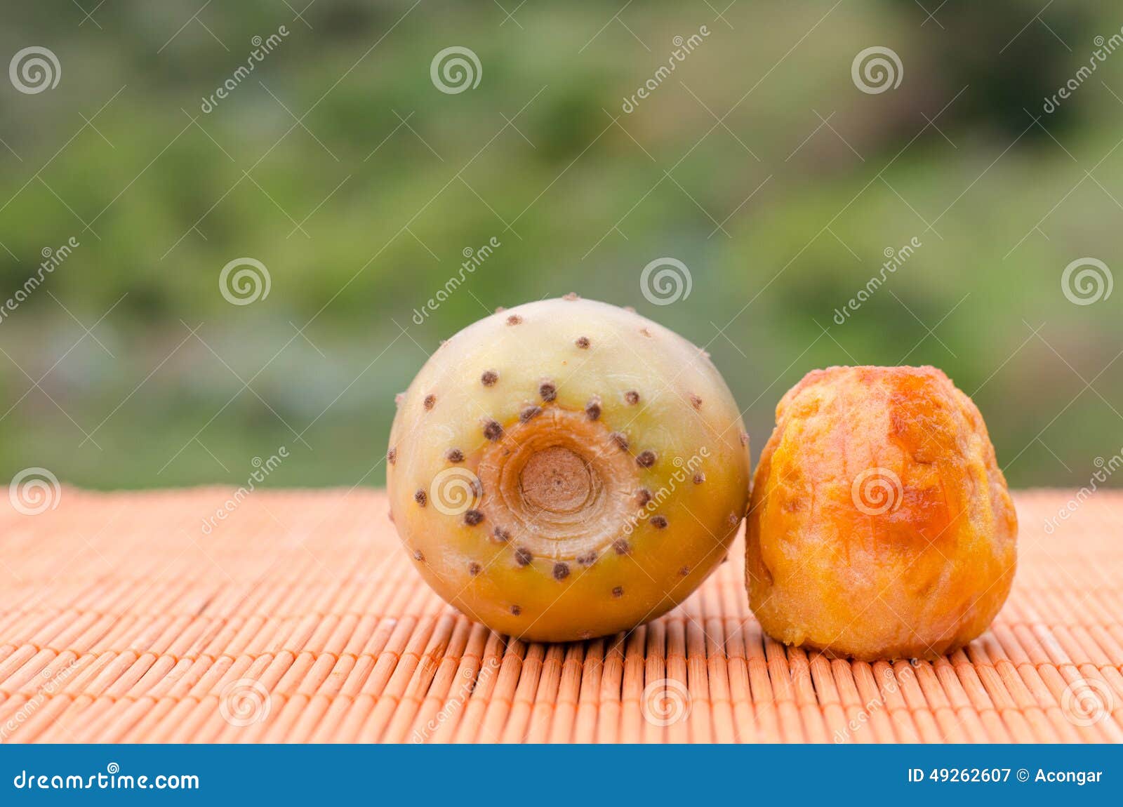 Prickly pears. stock image. Image of nature, food, pear - 49262607