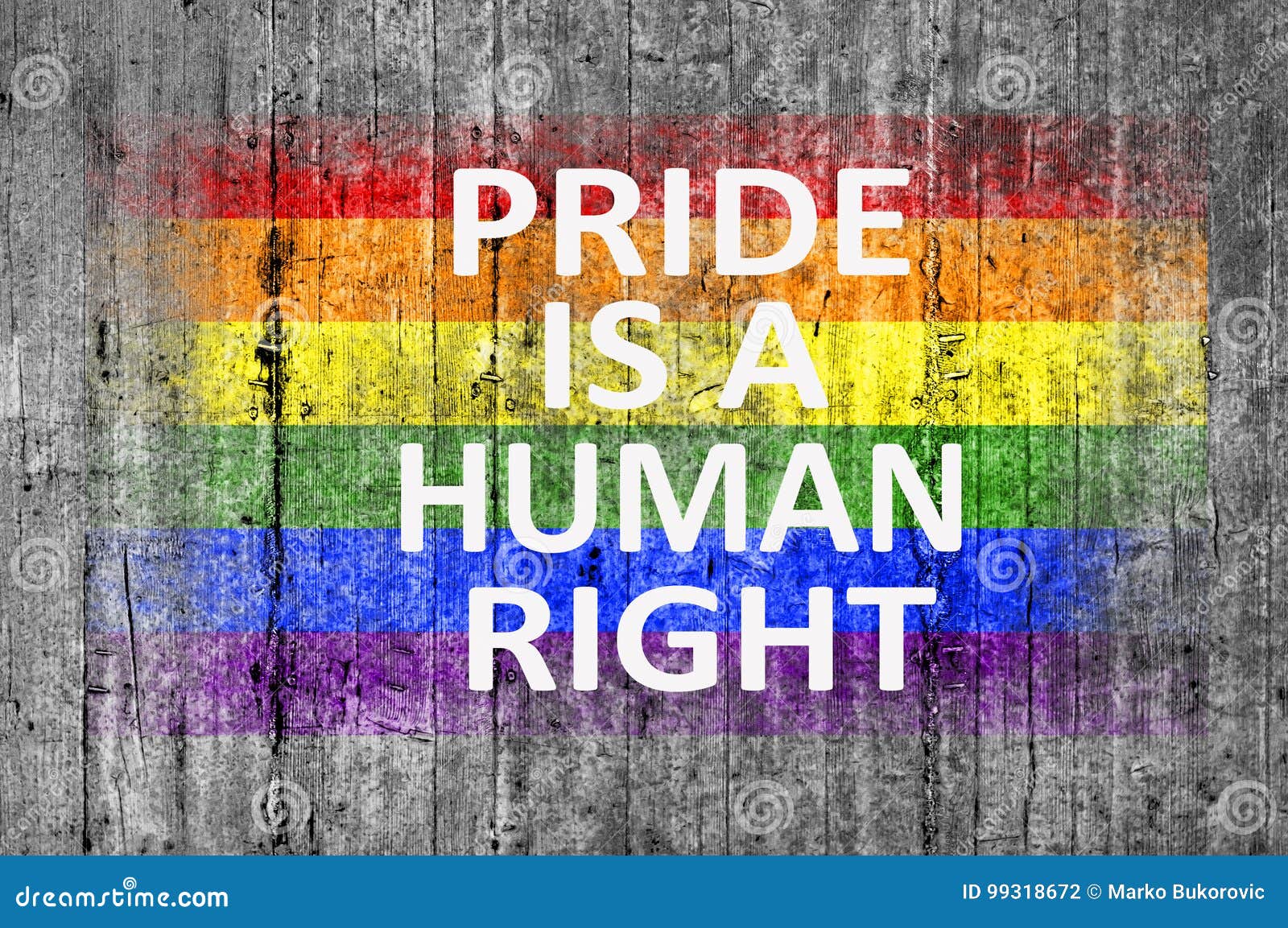 Pride is a Human Right and LGBT Flag Painted on Background Texture ...