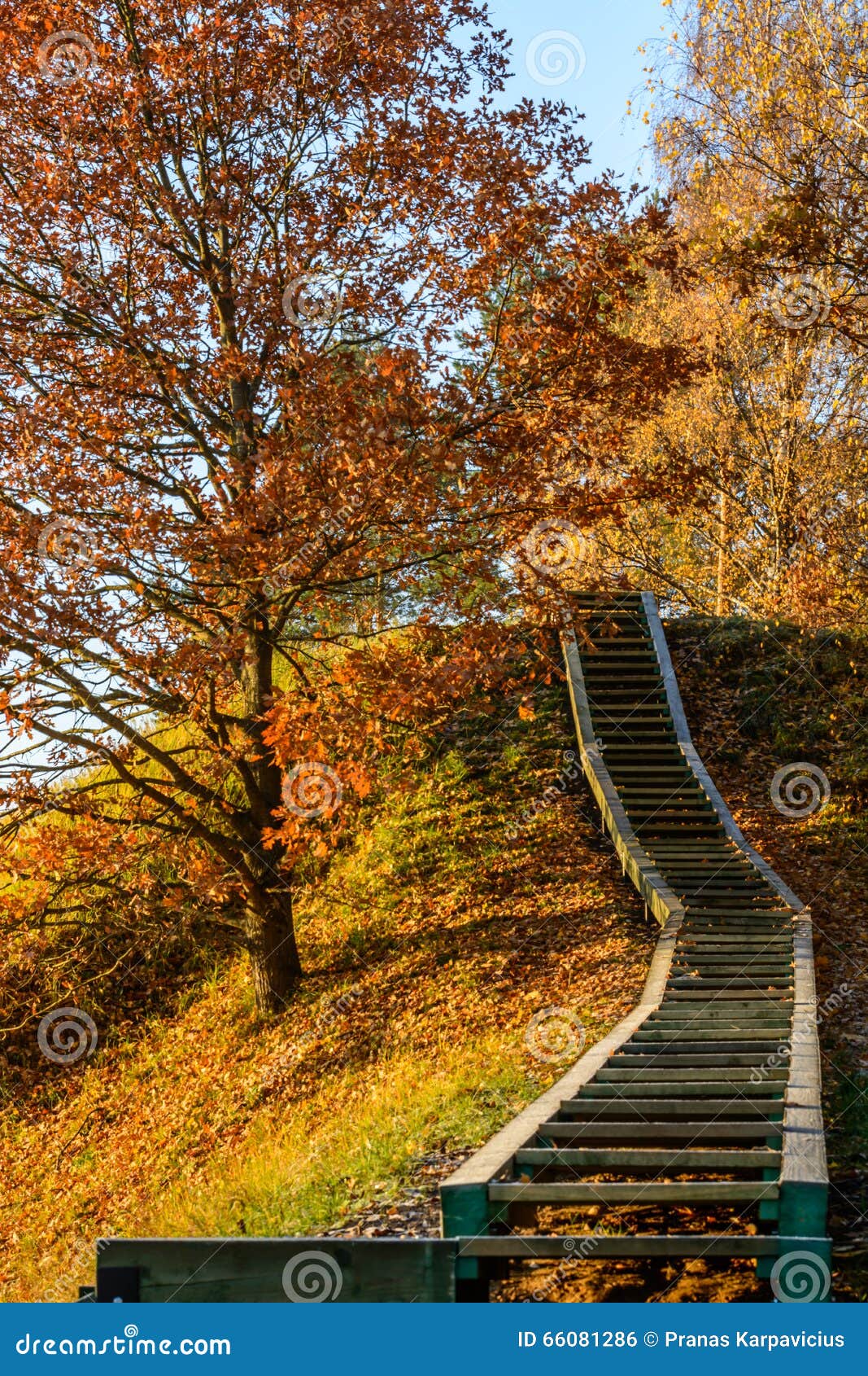 Prienai View Point Hill Steps Stock Photo - Image of craftsmanship ...