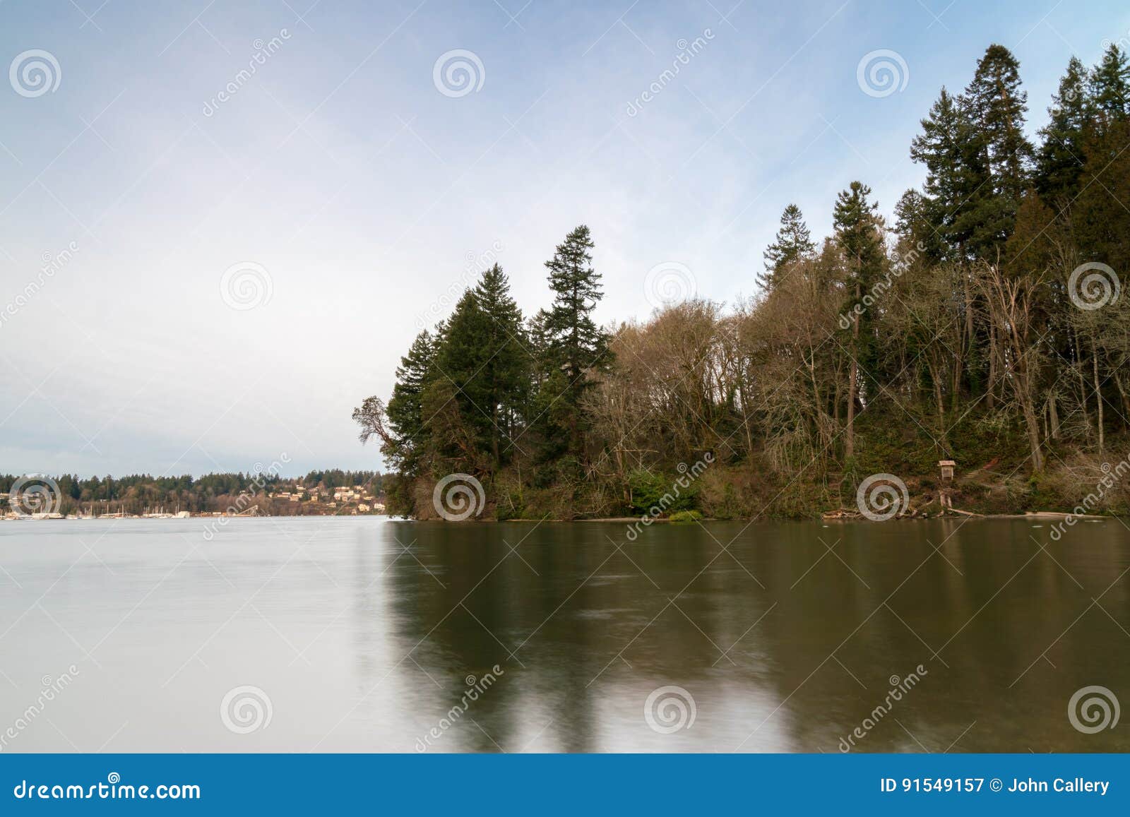 Priest Point Park stock image. Image of green, river - 91549157
