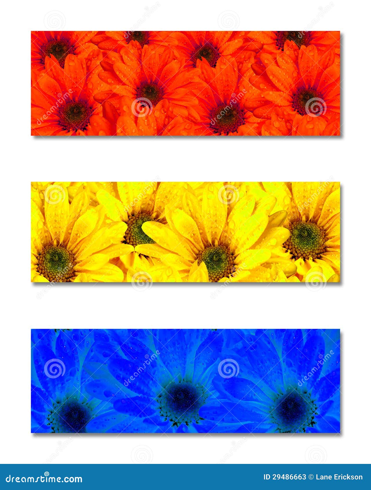Primary Colors Abstract Art Flowers Stock Illustration - Illustration ...
