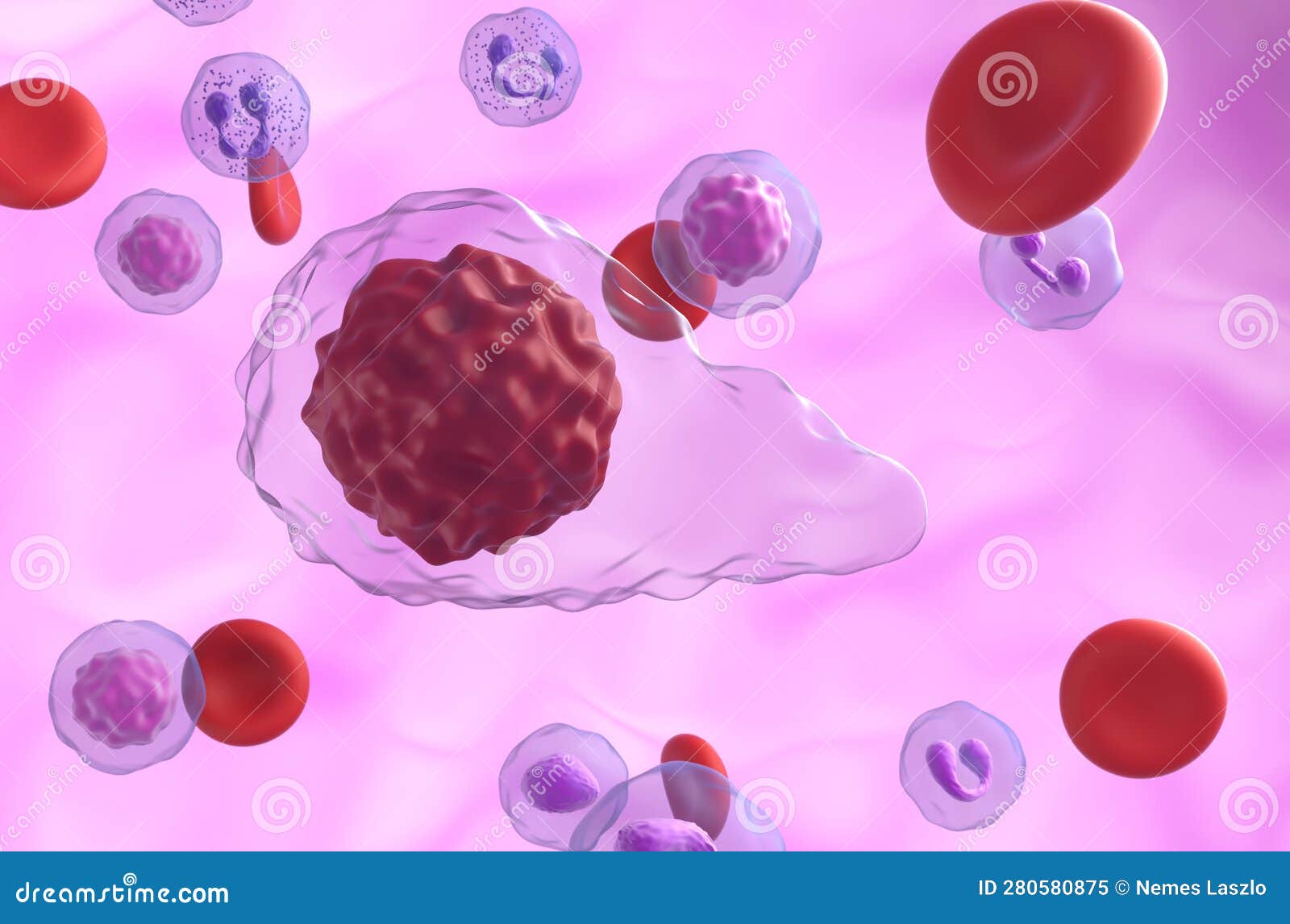 Primary Myelofibrosis (PMF) Cells In Blood Flow - Closeup View 3d ... Primary Myelofibrosis (PMF) Cells In Blood Flow - Closeup View 3d ...