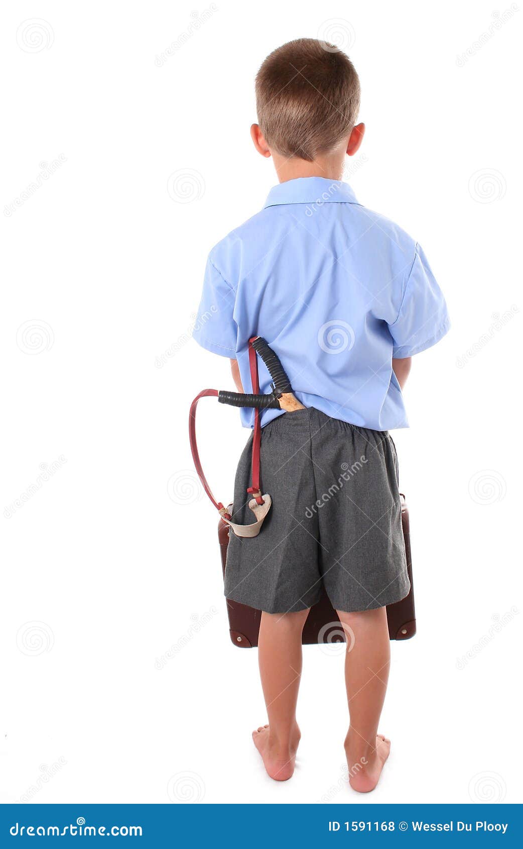 Primary school boy stock photo. Image of learn, gray, male - 1591168