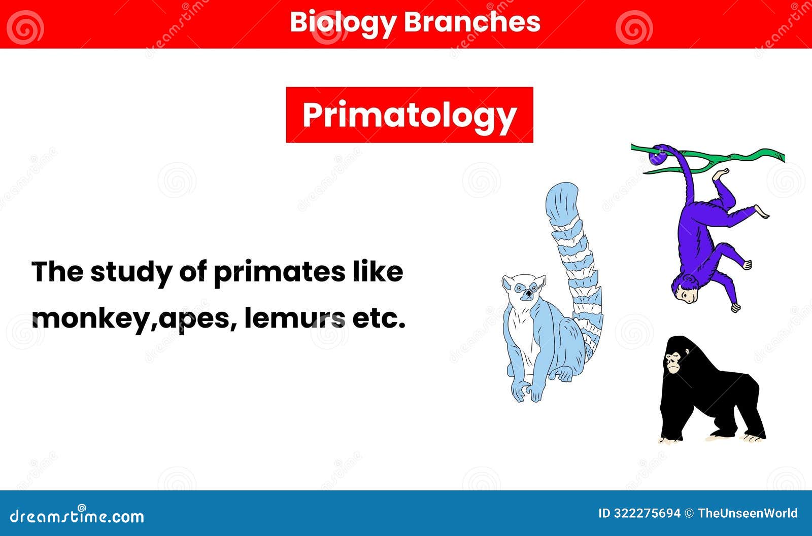 Primatology. it is a Branch of Biology Stock Illustration ...