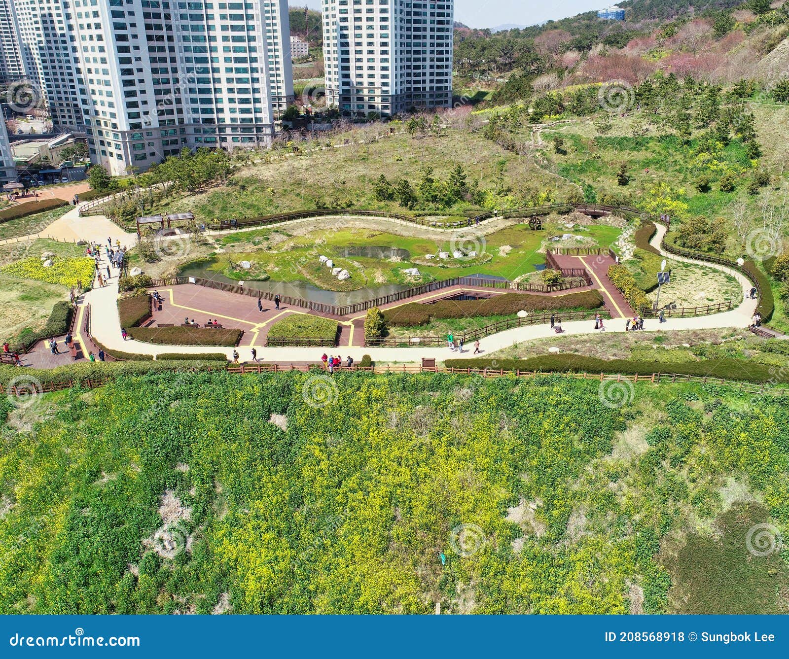 Primavera Do Parque Hemaji Em Oryukdo Busan Na Coreia Do Sul Foto De