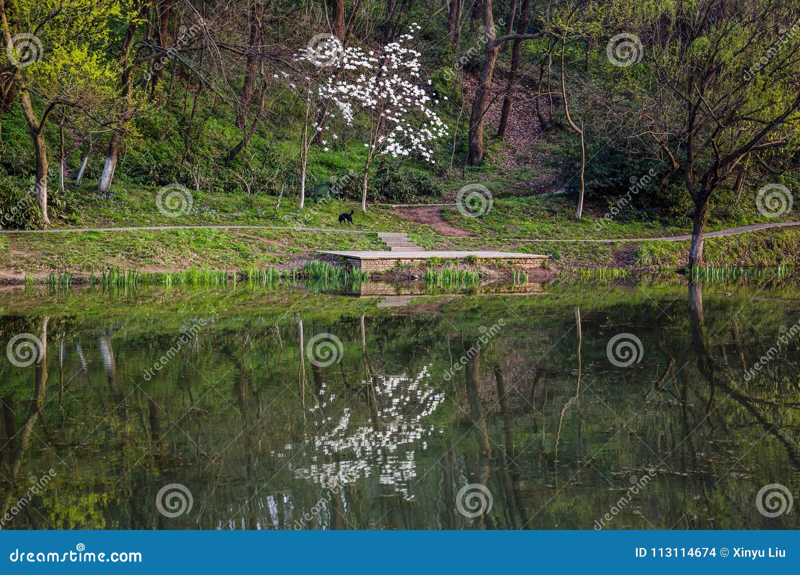 Primavera En La Orilla Del Lago Foto de archivo - Imagen de resorte ...