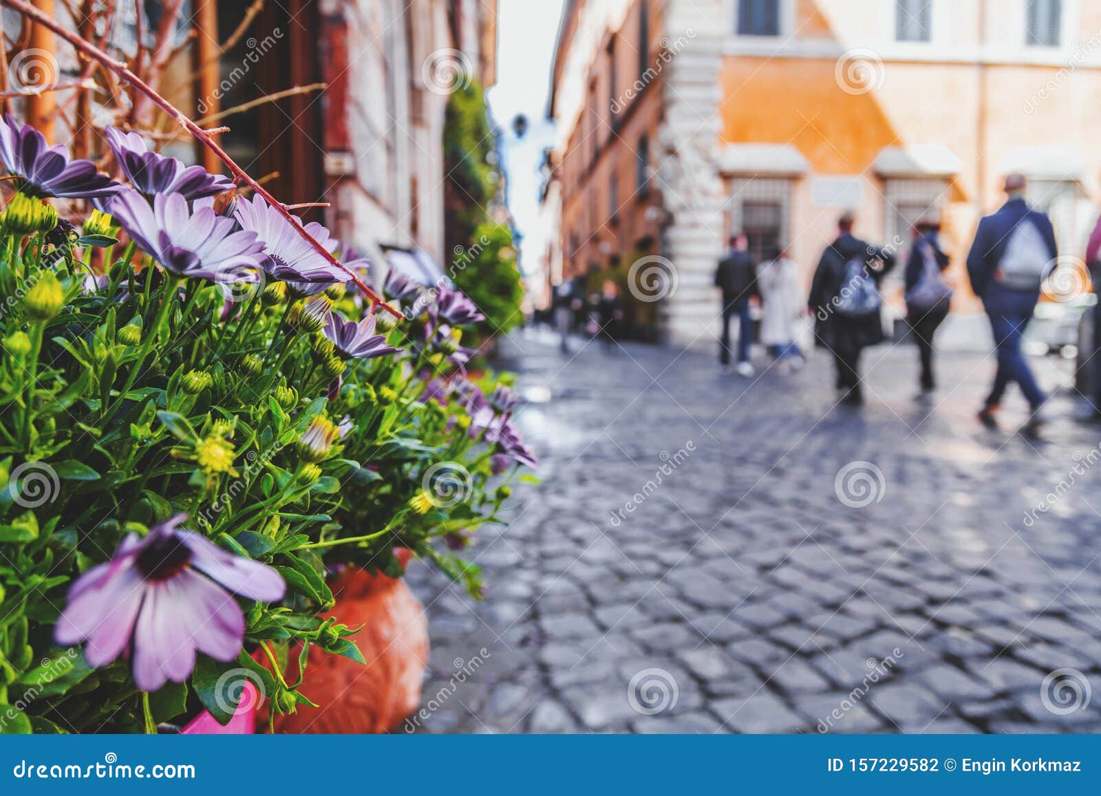 Primavera en Roma foto de archivo. Imagen de exterior - 157229582