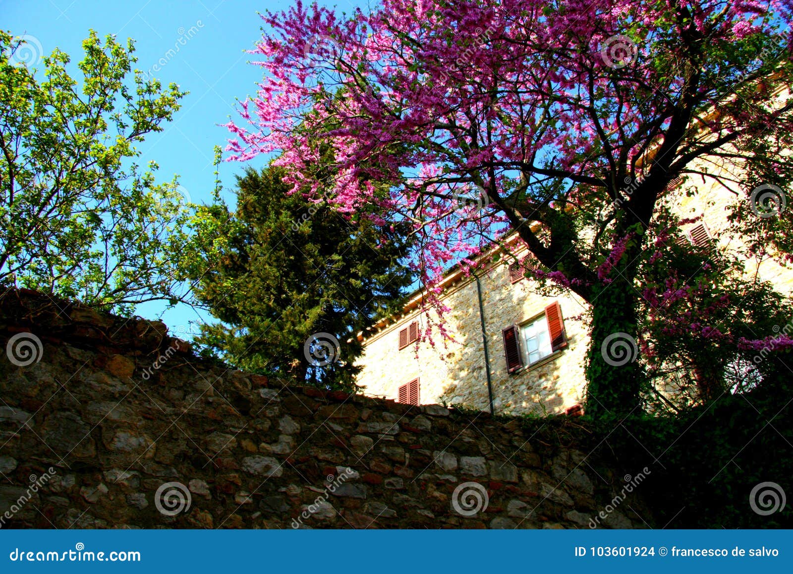 Primavera Italia Toscana fotografia stock. Immagine di molla - 103601924